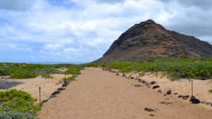 Ka'ena Point Natural Area Reserve - GoTravelHawaii