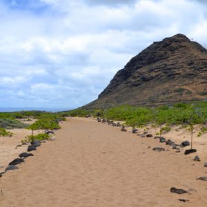 Ka'ena Point Natural Area Reserve - GoTravelHawaii
