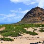 Ka'ena Point Natural Area Reserve - GoTravelHawaii